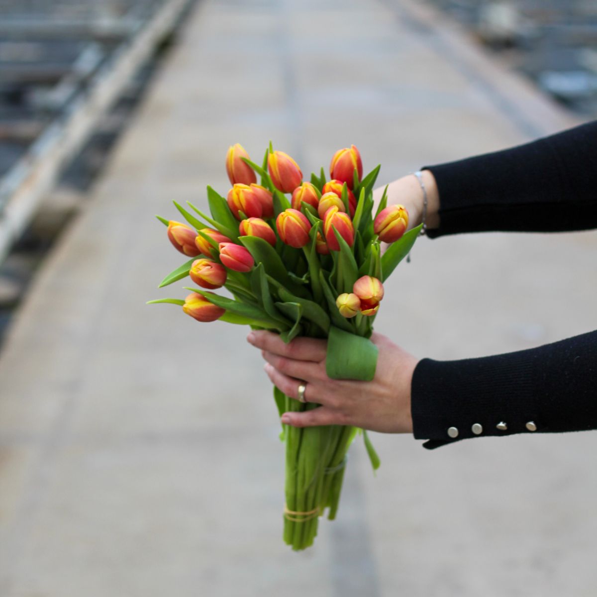 Tulpen kopen en laten bezorgen? Ontdek onze blijmakers!